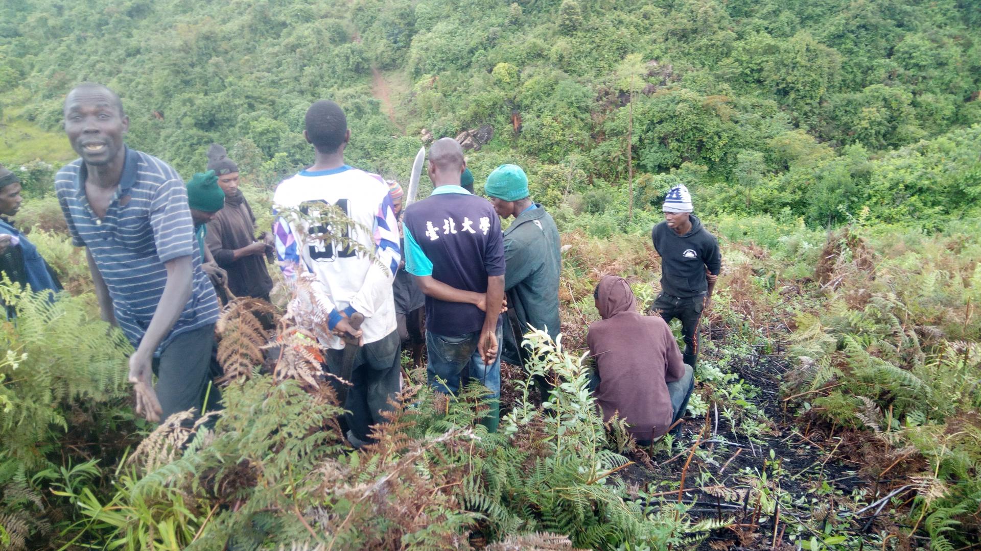 Restoration of Magamba Nature Forest Reserve in Tansania – there-for ...